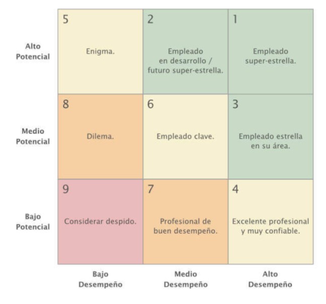 9-Box en la Evaluación del Desempeño